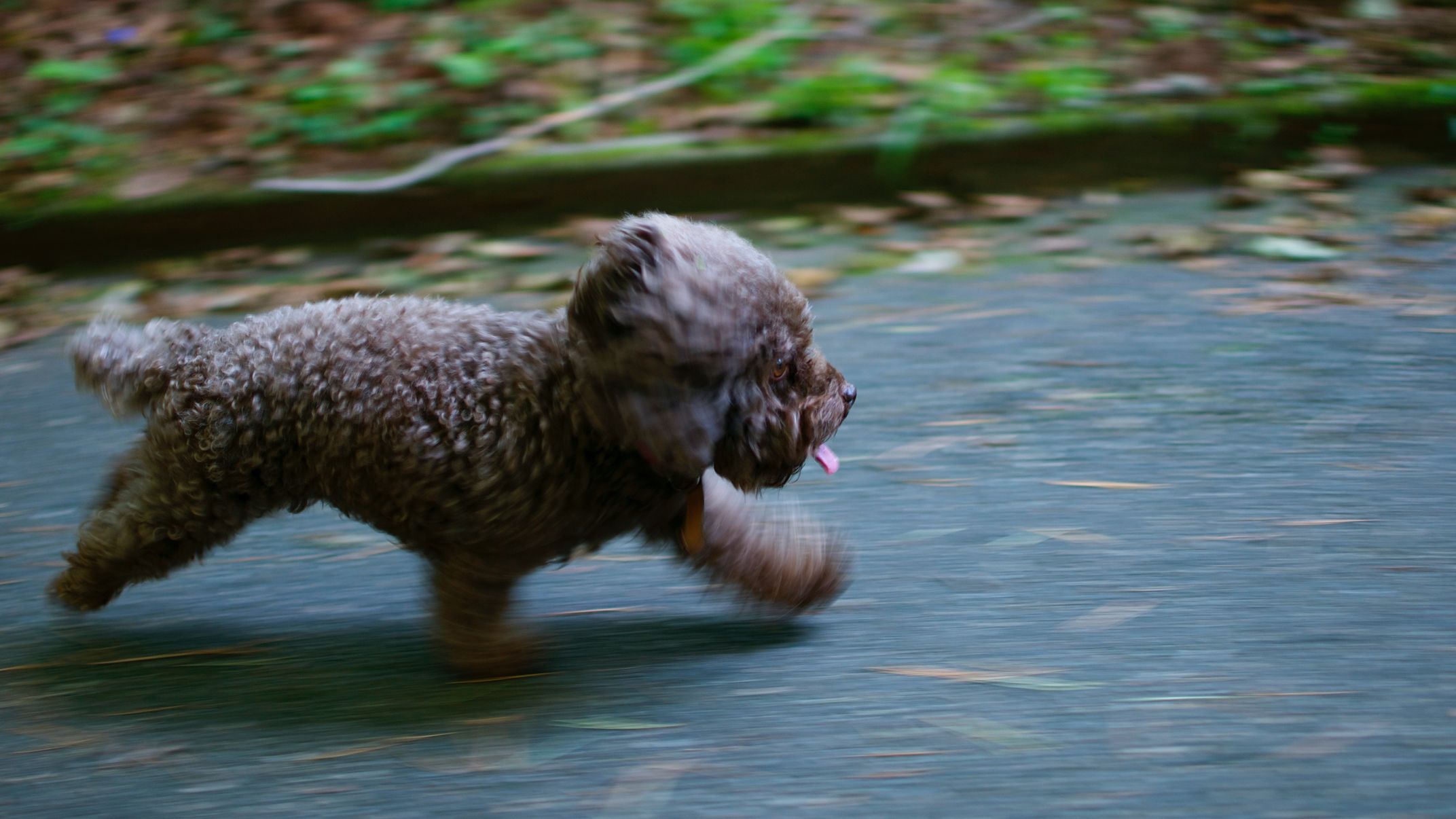 Welcome to Wowchemy, the website builder for Hugo | Jung Jae Kim